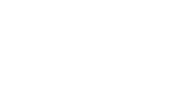 Fluconix 340 Injection (Trodax Generic) – Mayo Vet